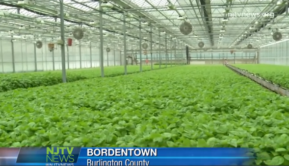 Rutgers EcoComplex helps NJ green entrepreneurs grow